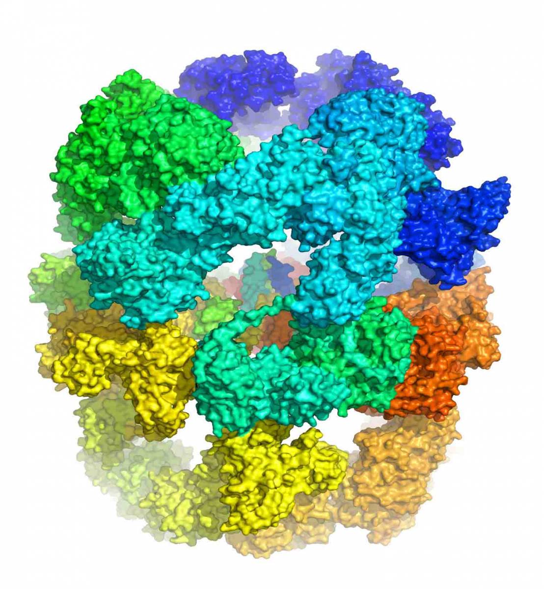 FAS Track to Fighting Antibiotic-Resistant TB - Weizmann