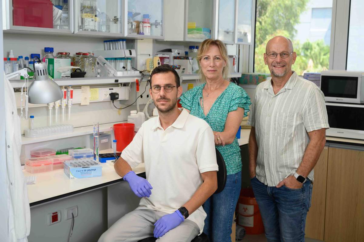 Weizmann Institute researchers discover how Copaxone protects the heart muscle and improves its ...